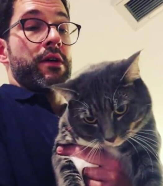 PHOTOS Les stars et leurs chats, une véritable histoire d’amour - Voici