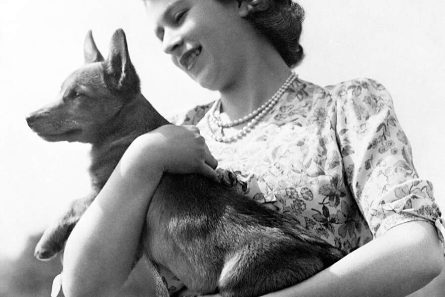 Elizabeth II : les plus belles photos de la reine d'Angleterre - Voici