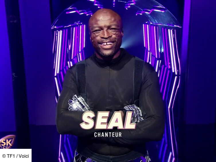 Seal in Mask Singer: Where do his facial scars come from? - Celebrity ...