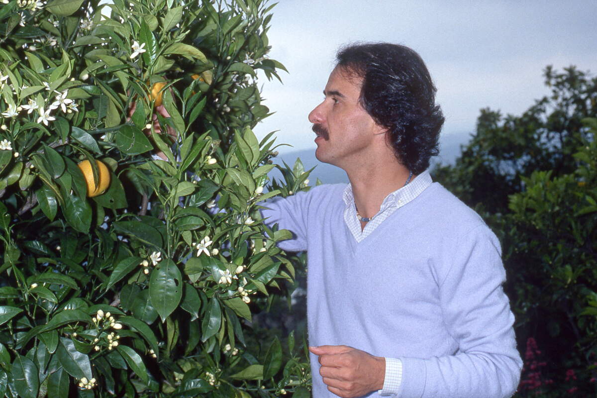 Michel Fugain : découvrez son évolution physique en images - Voici