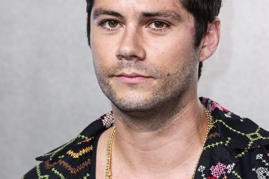 Dylan O'Brien, Kaya Scodelario... Que deviennent les acteurs de la saga ...