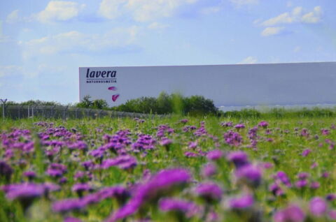 Soin green : 4 choses que vous ne savez pas sur lavera - Voici