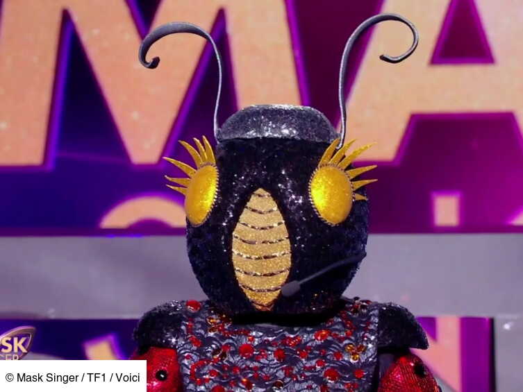 Mask Singer : une grande actrice américaine cachée sous le costume de ...