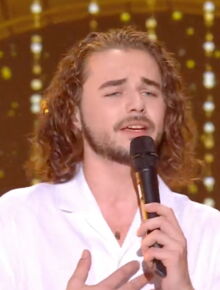 Star Academy : qui est Mathieu Canaby, le frère chanteur de Julien ...