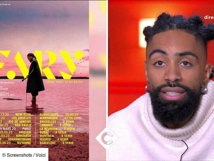 Fary : pourquoi il a failli mettre un terme à sa carrière d'humoriste ...