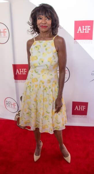 Docteur Quinn femme médecin : que deviennent les acteurs de la série ...