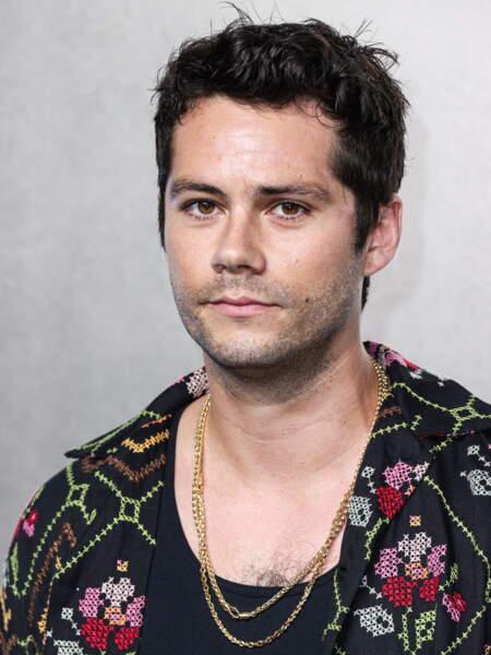 Dylan O'Brien, Kaya Scodelario... Que deviennent les acteurs de la saga ...