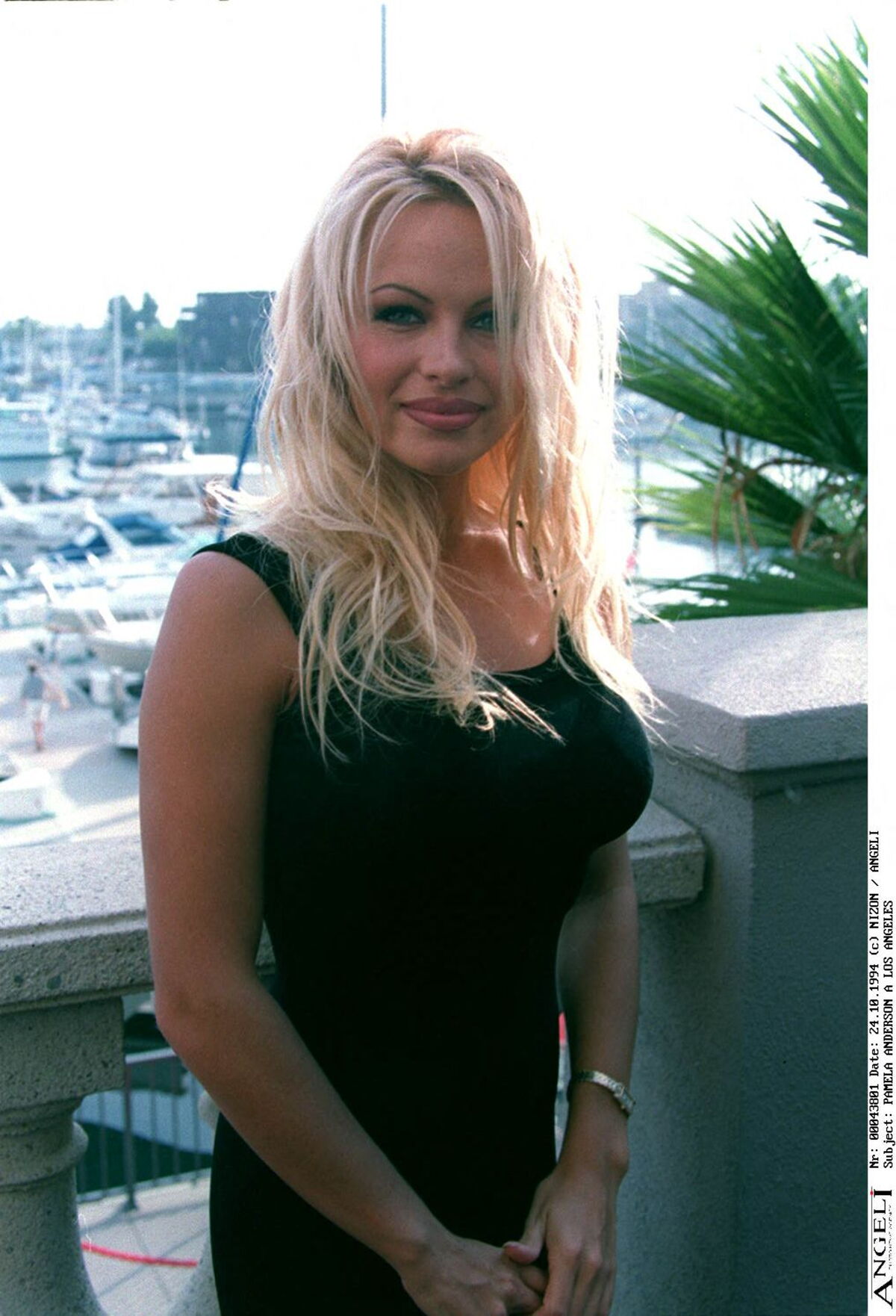 Pamela Anderson : l'évolution physique de la star avant et après Alerte ...