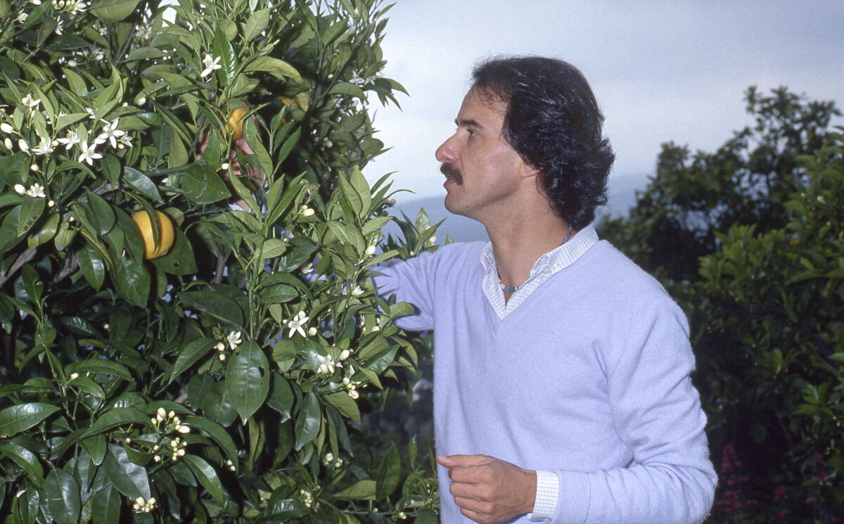 Michel Fugain : découvrez son évolution physique en images - Voici